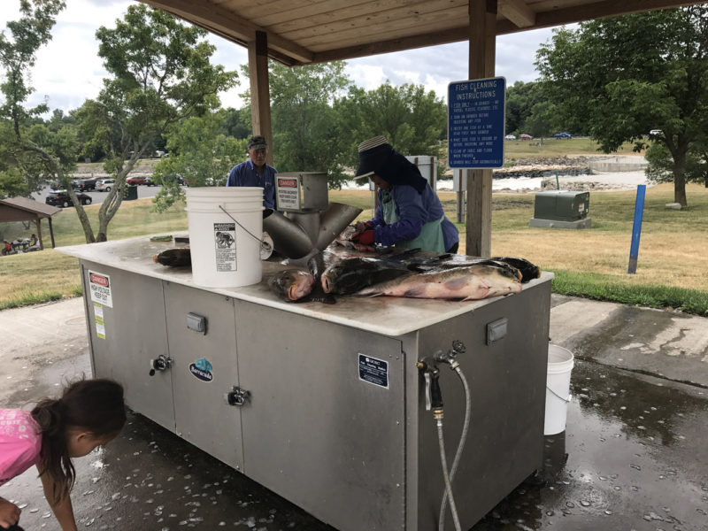 Buffy Graham | Saylorville Lake, Prairie Flower Campground, Polk City IA